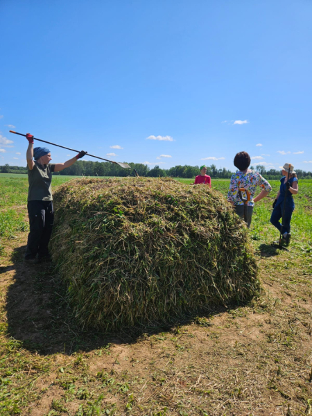 First Experimental Plant Biomass Compost Pile Created | Drupal